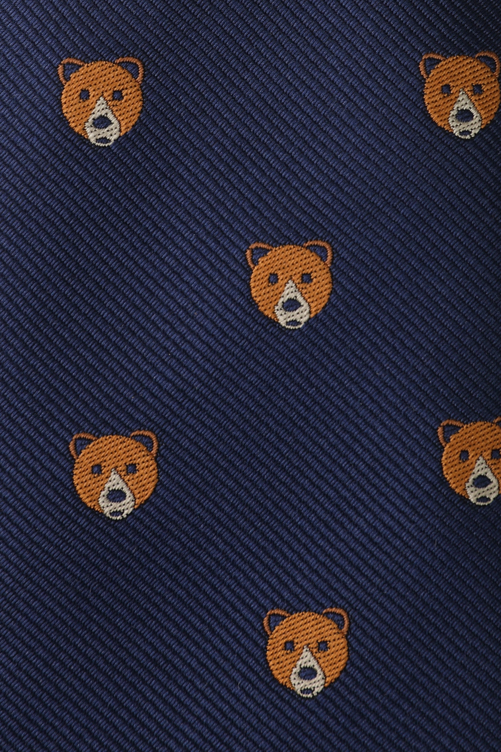 American Brown Bear Kids Necktie | Kid Ties Children Tie | OTAA