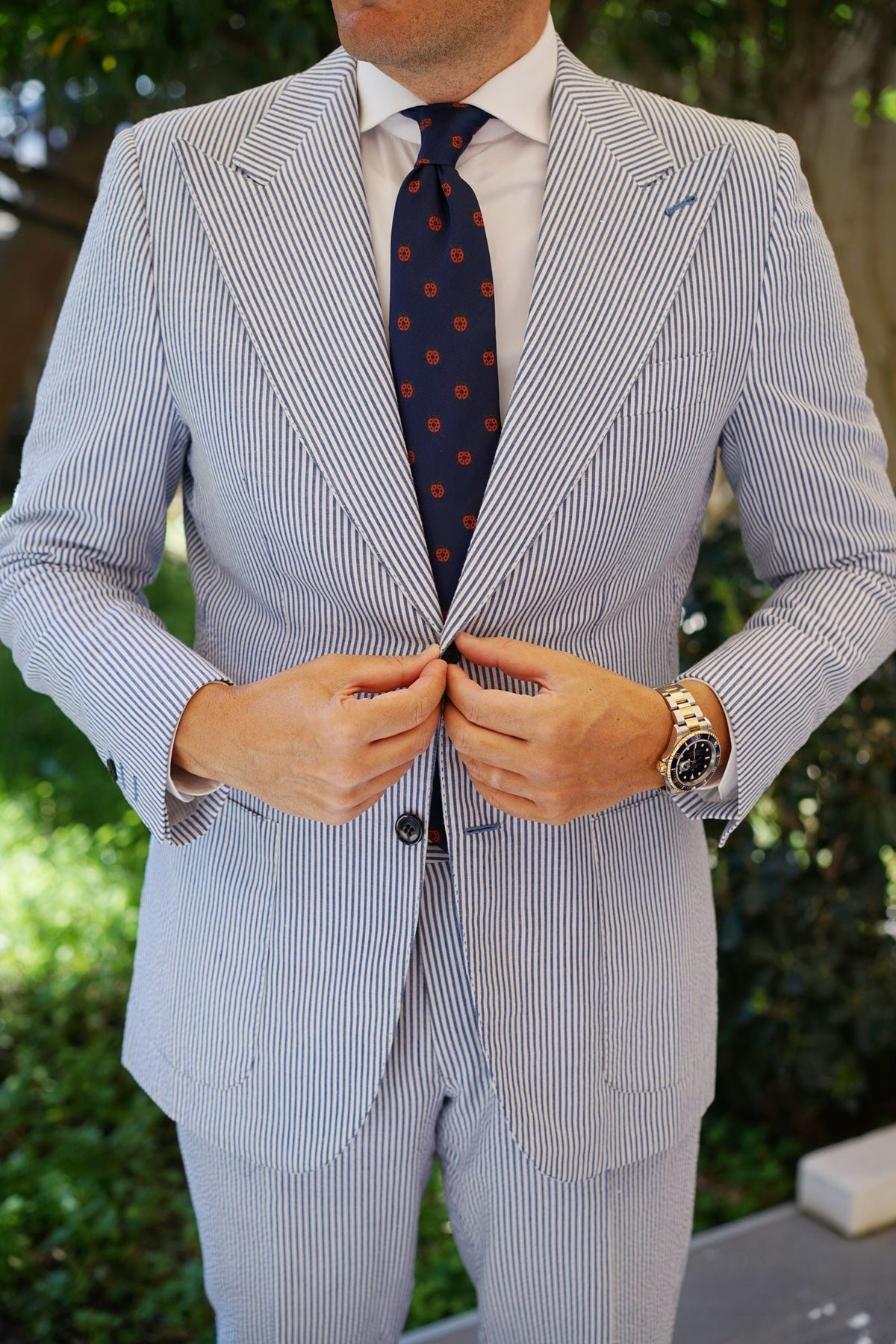 Ladybird Beetle Tie | Ladybug Ties | Animal Necktie | Men's Funny Ties ...