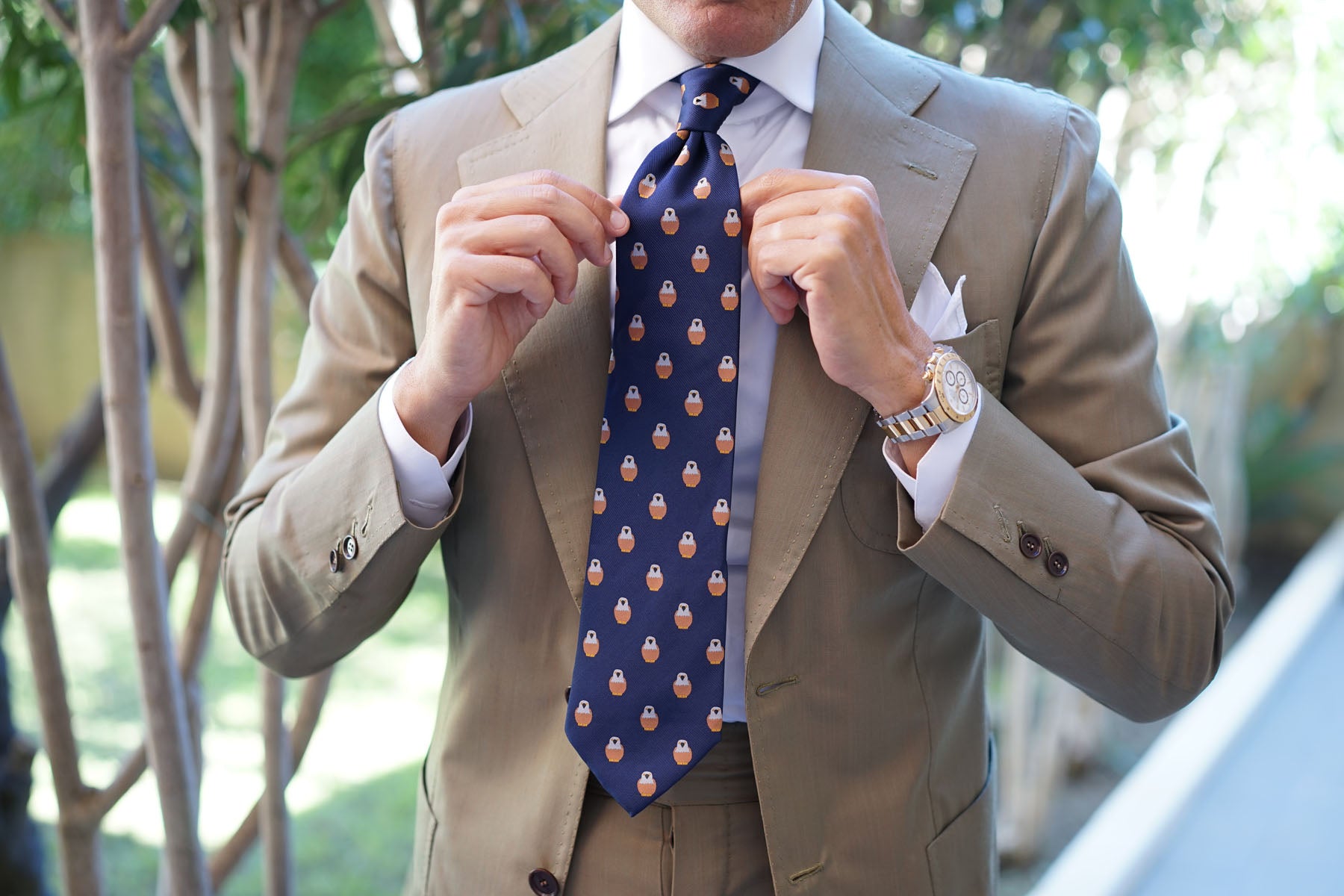 Brown Pigeon Bird Tie | Animal Ties | Funny Unique Neckties for Men AU ...