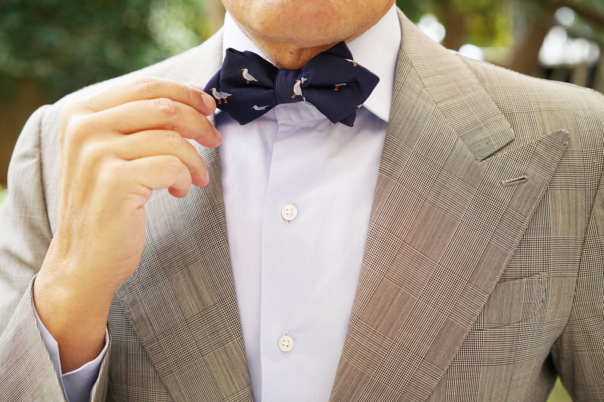 Seagull Bird Diamond Bow Tie | Animal Point Bowtie | Pre-Tied Bow Ties ...
